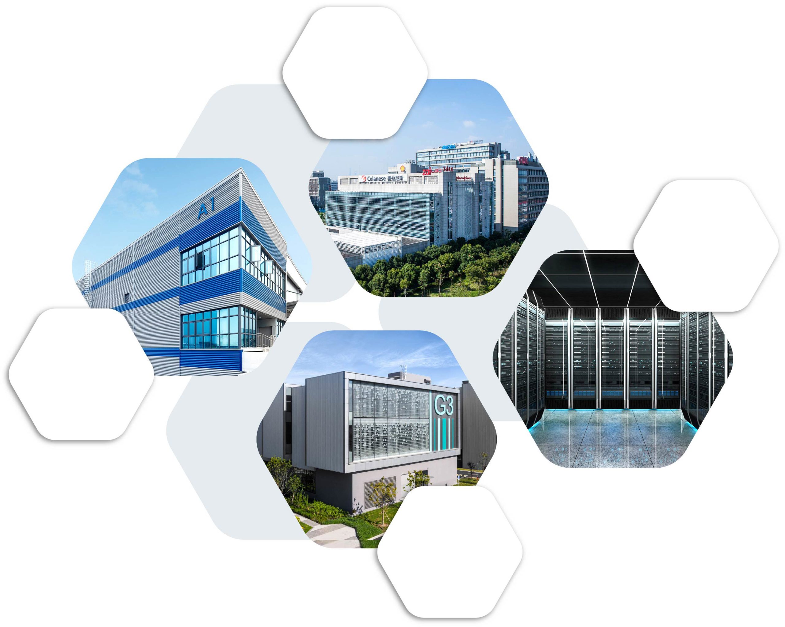 Who We Are | Our Vision | DNE